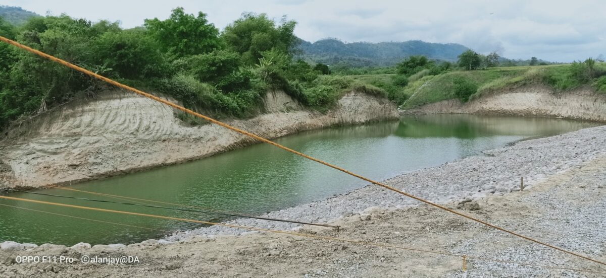 Isabela rice crops get boost - The Valley Journal