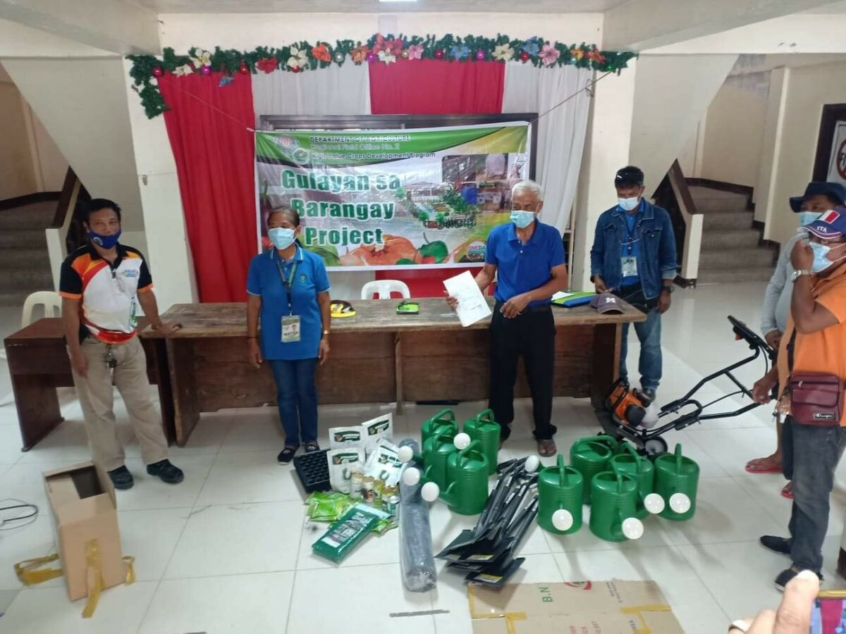 DA REGION 2 IMPLEMENTS GULAYAN SA BARANGAY CAGAYAN