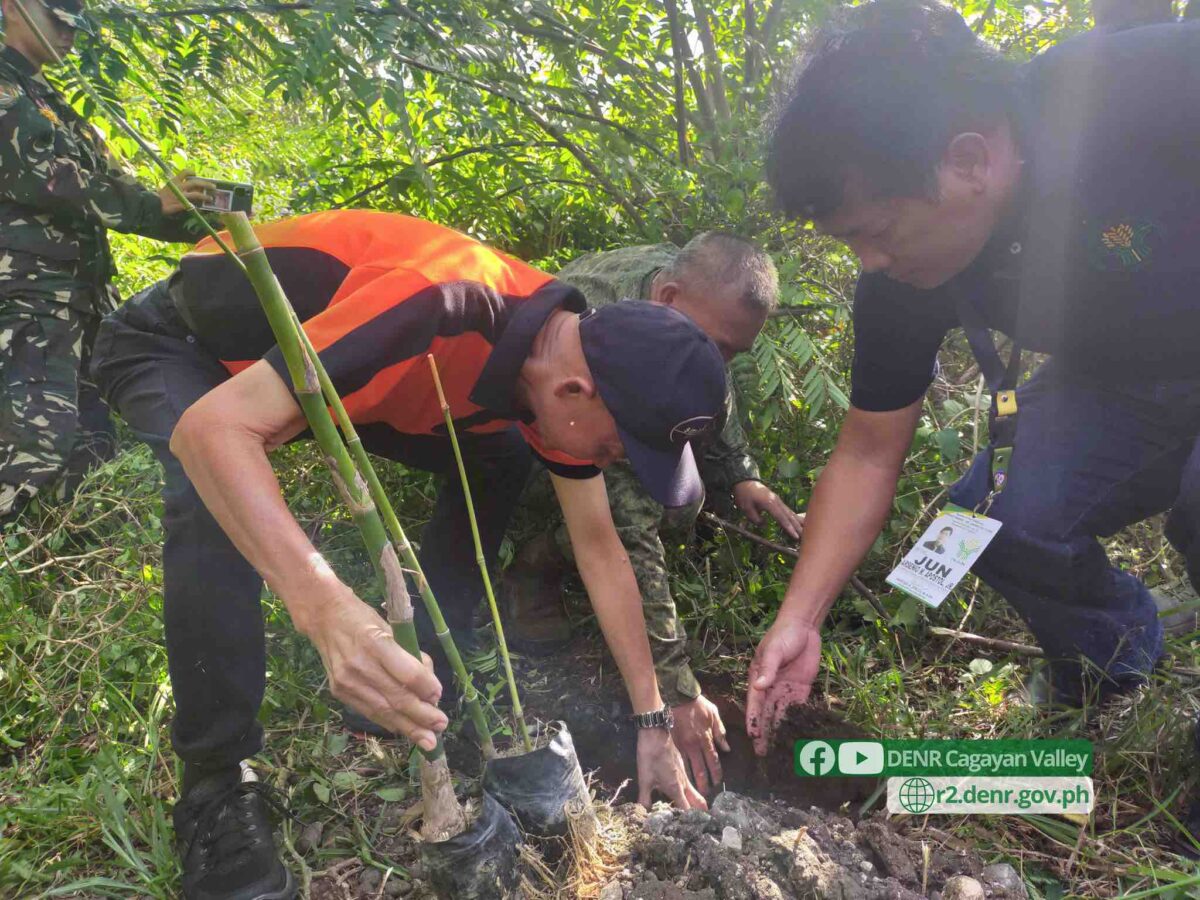 Region 2 holds tree growing activity