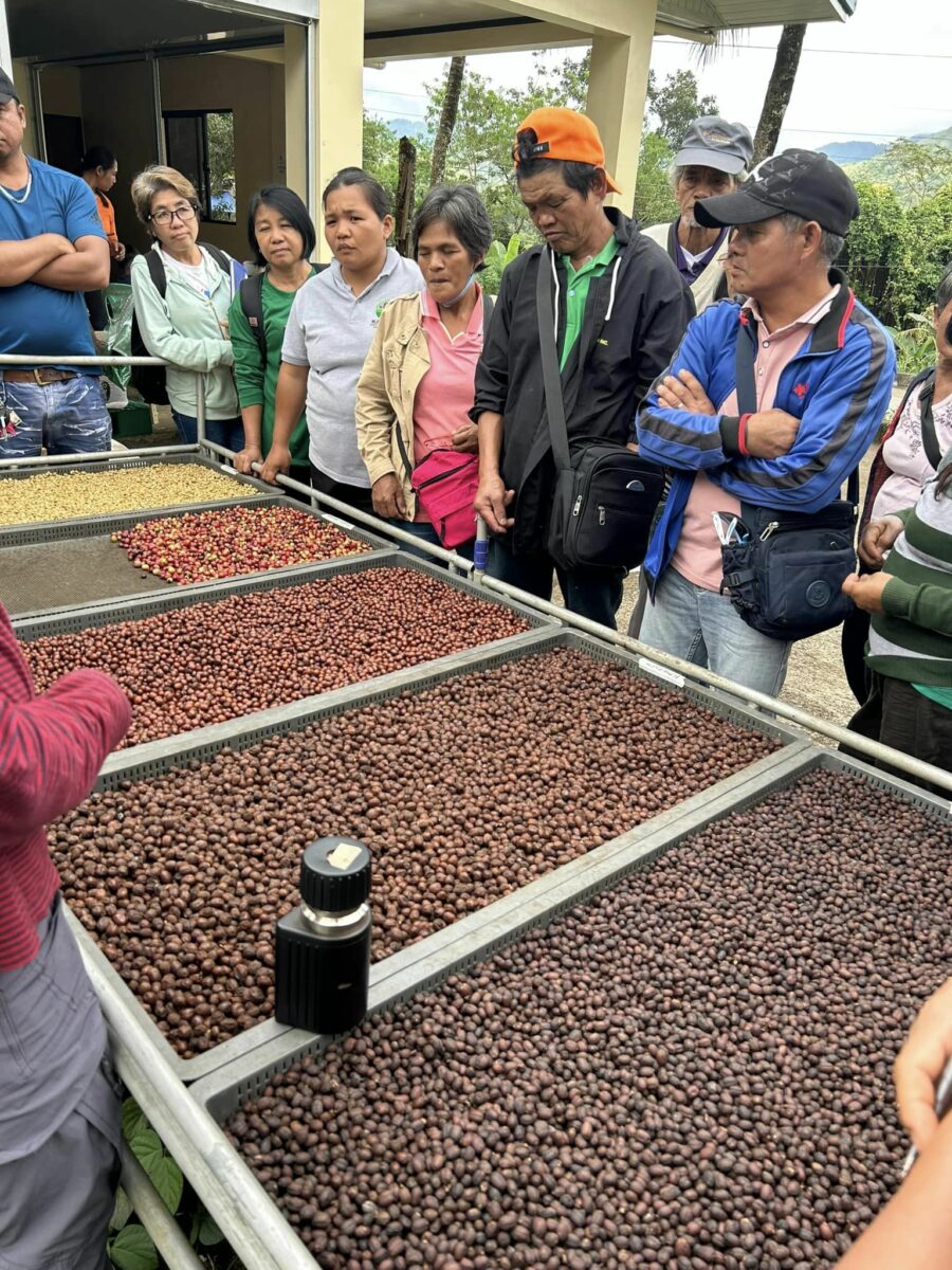 Didipio Mine capacitates coffee farmers in Kasibu town - The Valley Journal