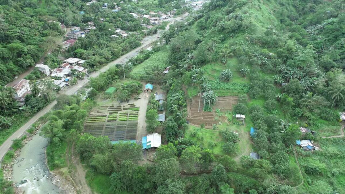 Mine firm in Nueva Vizcaya contributes P5.71-B in taxes, fees, duties ...